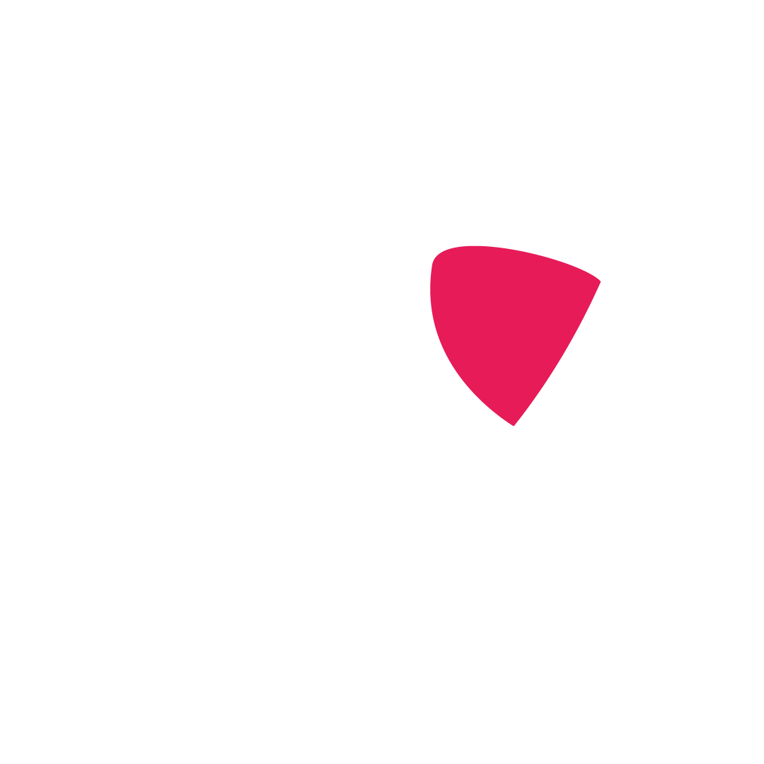 Cartographie d'infrastructure informatique et applicative : MOE